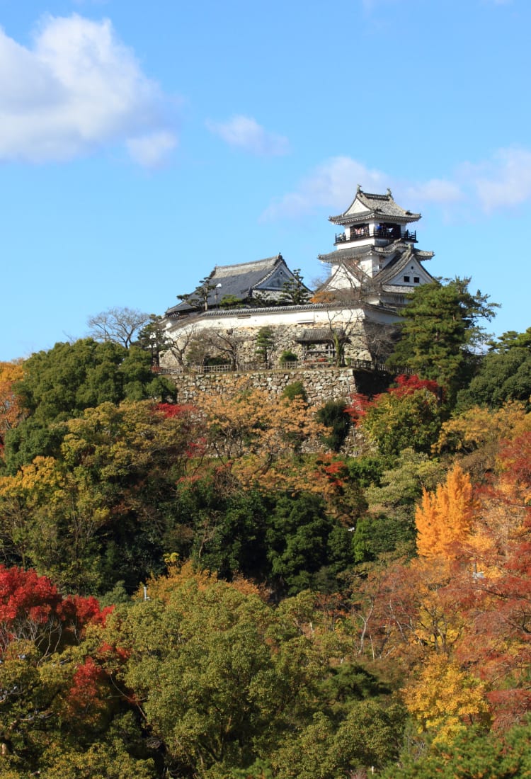 高知市 高知 景點 日本旅遊 JNTO