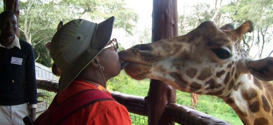 Study Abroad in Kenya