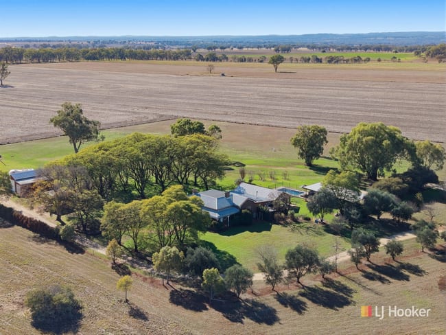 Robyn Fox - LJ Hooker Inverell | Commercial Real Estate