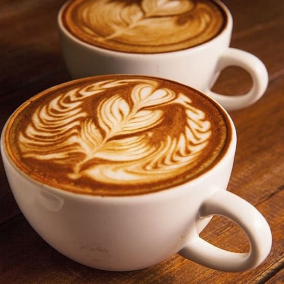 Food, Beverage & Hospitality - Sydney NSW 2000 - 2020918711