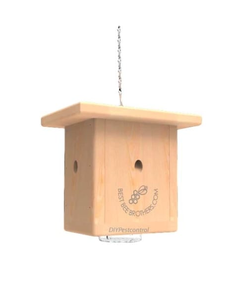 Carpenter Bee Control Products