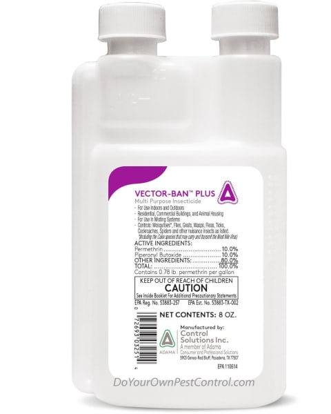 How To Get Rid Of House Flies | Do-It-Yourself Pest Control