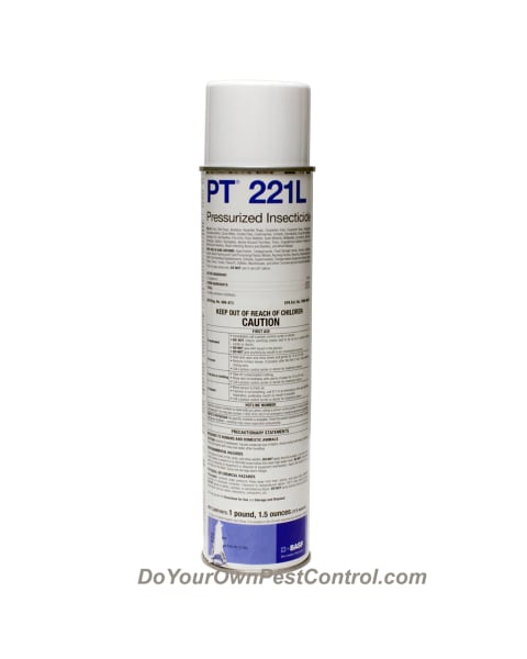 How to Get Rid of Brown Recluse Spiders | Do-It-Yourself Pest Control