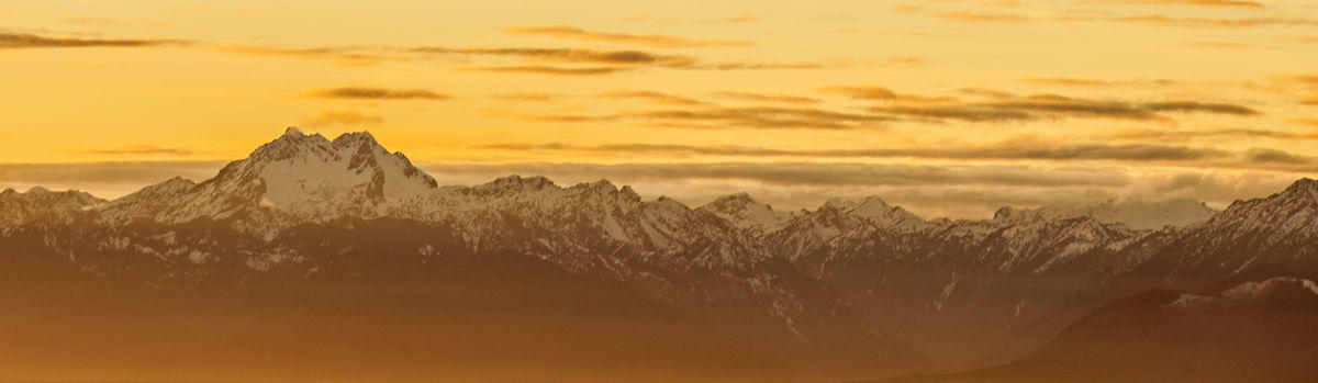 Guide to Spring in Seattle