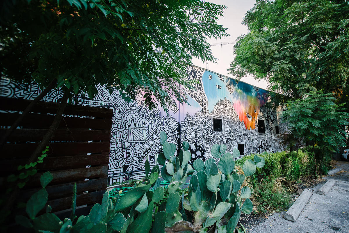 La Zona Rosa Is Back, Baby!