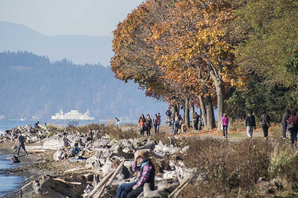 Your Guide To Fall In Seattle