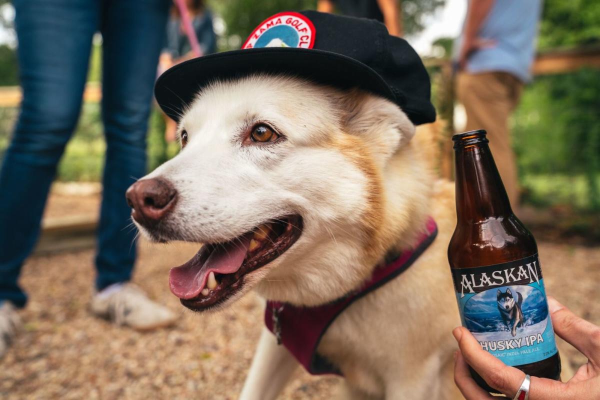 Beer:30 with Alaskan Brewing's Husky IPA