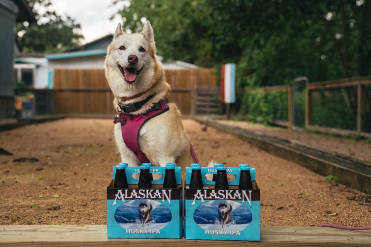 Beer:30 with Alaskan Brewing's Husky IPA