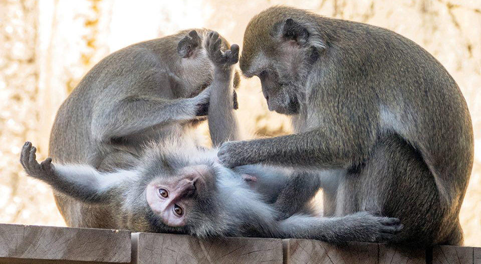 Places You Didn’t Know You Can Get Wasted in Indy