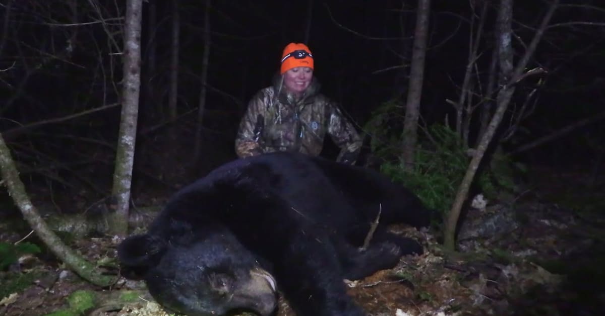 DISCOVERING | My Michigan Black Bear Hunt | Discover the U.P.