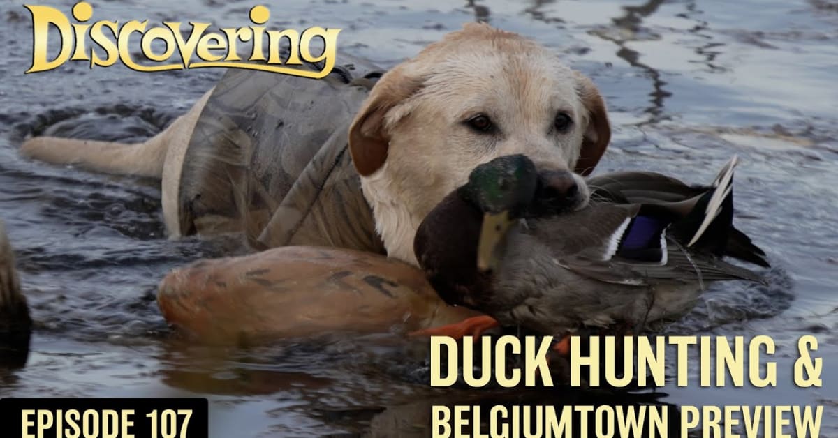 DISCOVERING | Duck Hunting & Belgiumtown Big Buck Night Preview ...
