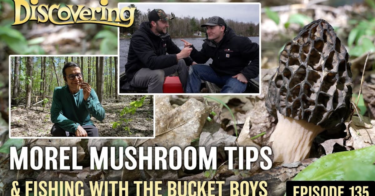 DISCOVERING | Morel Mushrooms | Bucket Boys Fishing | Discover the U.P.