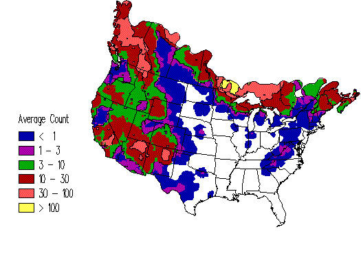 Common Raven - eBirdr