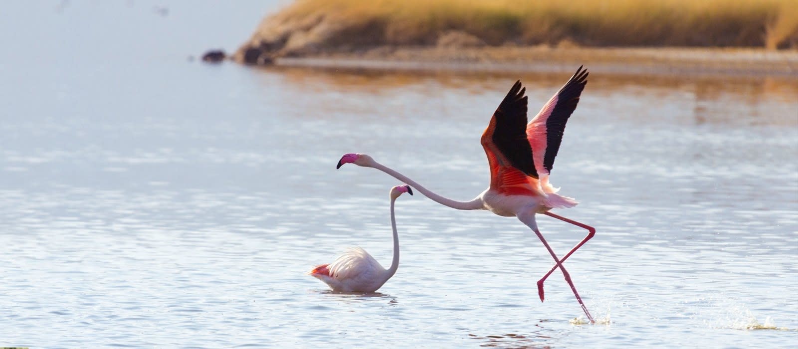 Tailor-made Kenya And Rwanda Safari | Enchanting Travels