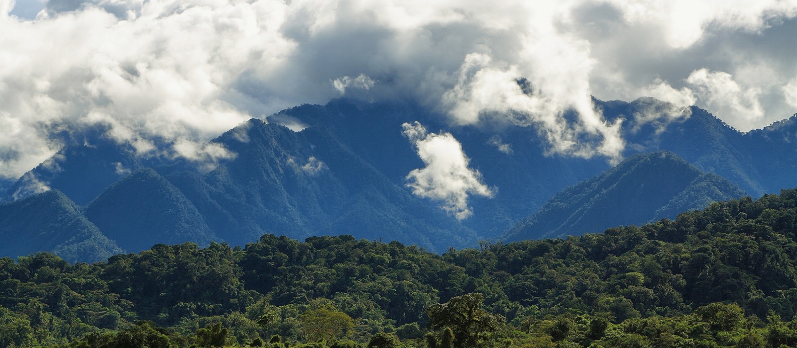 Tena Tours in Ecuador & Galapagos | Enchanting Travels