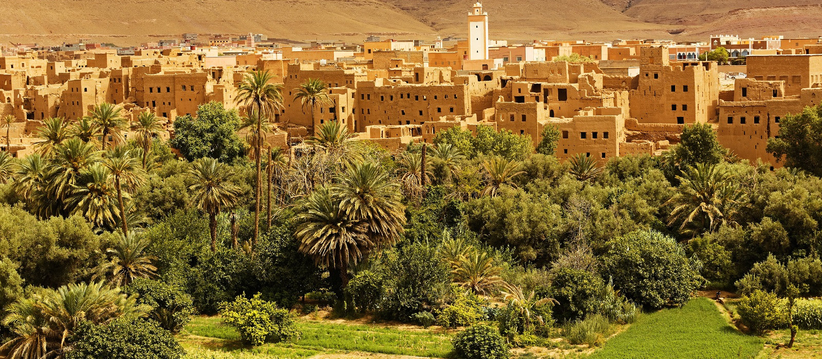 Marokko Luxusreise: Berge & Wüste