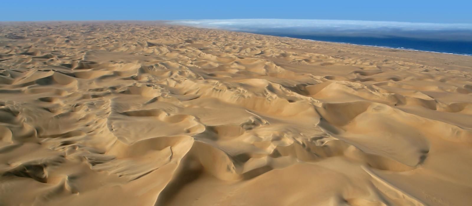 Exclusive Travel Tips for Namib Rand Reserve in Namibia