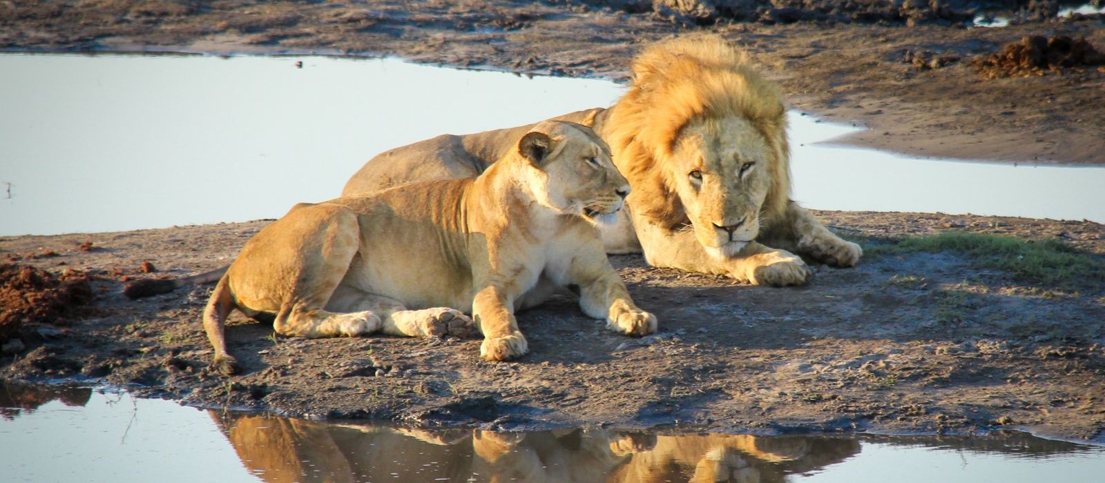 Exclusive Travel Tips for Your Destination Kasane in Botswana