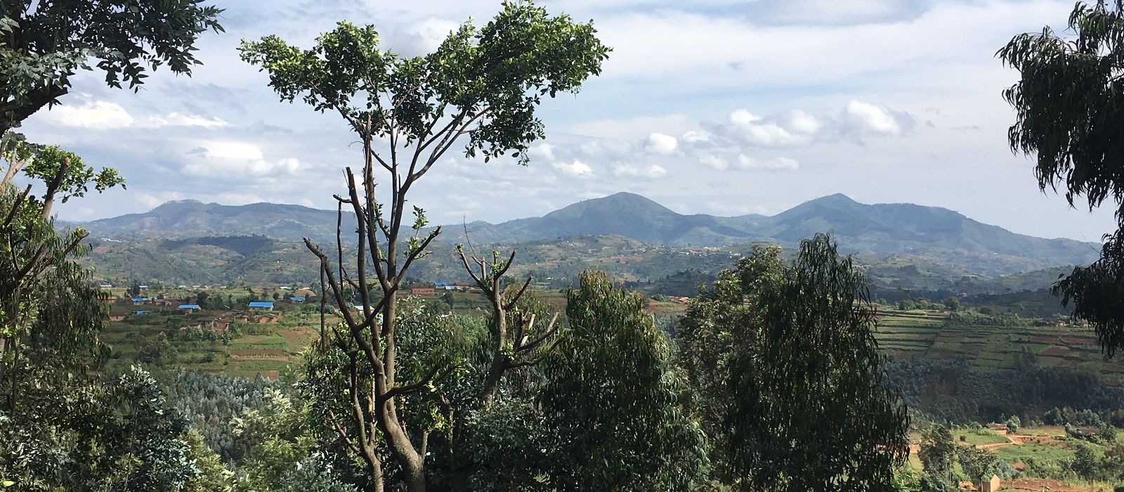 Exclusive Travel Tips for Your Destination Butare in Rwanda