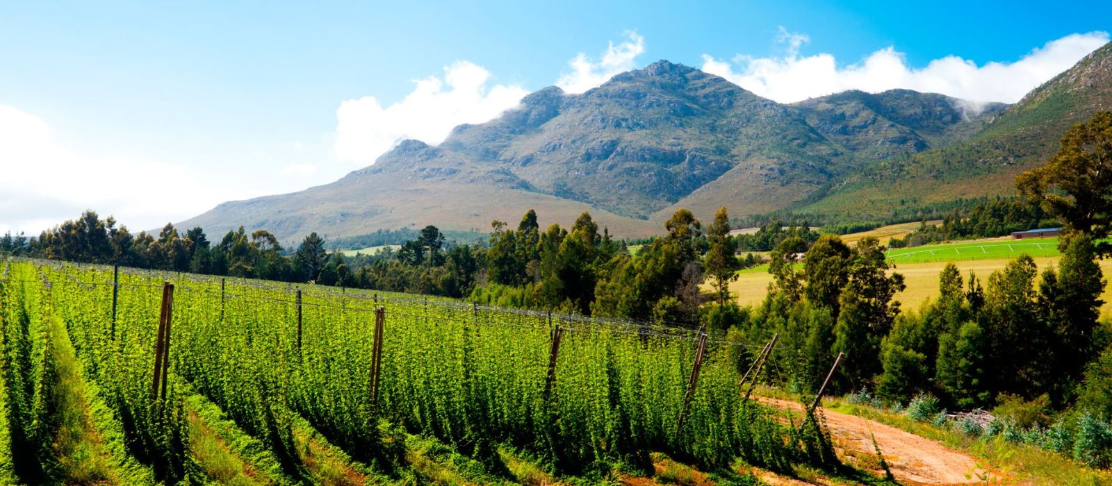 Exclusive Travel Tips for Your Destination George in South Africa