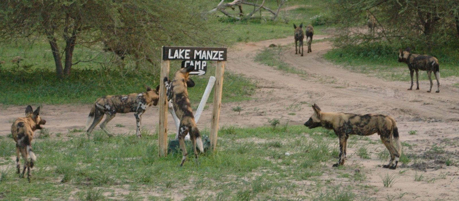 Lake Manze Camp Hotel in Tanzania | ENCHANTING TRAVELS