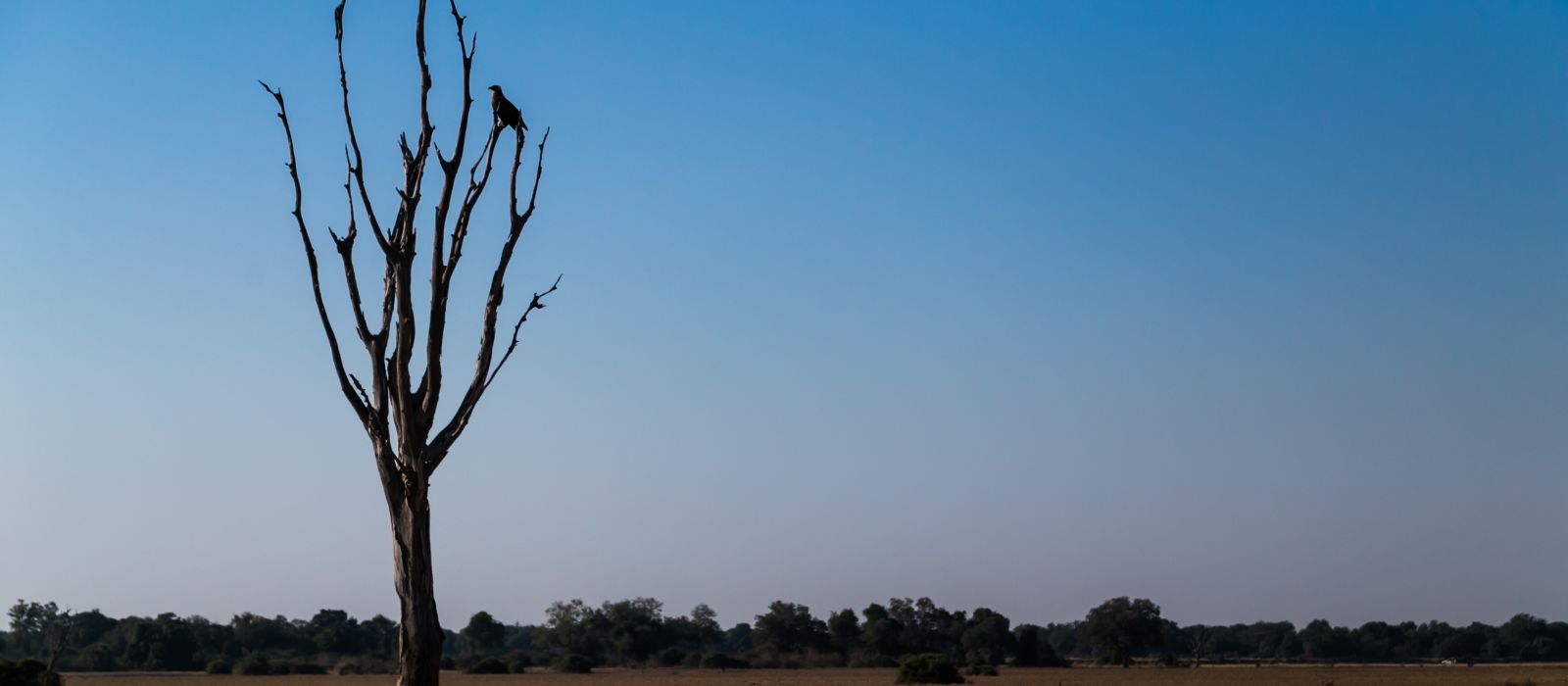 Exclusive Travel Tips for Your Destination Petauke in Zambia