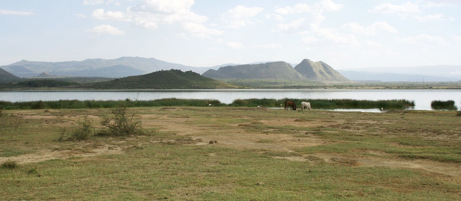 Exclusive Travel Tips for Your Destination Lake Elementaita in Kenya