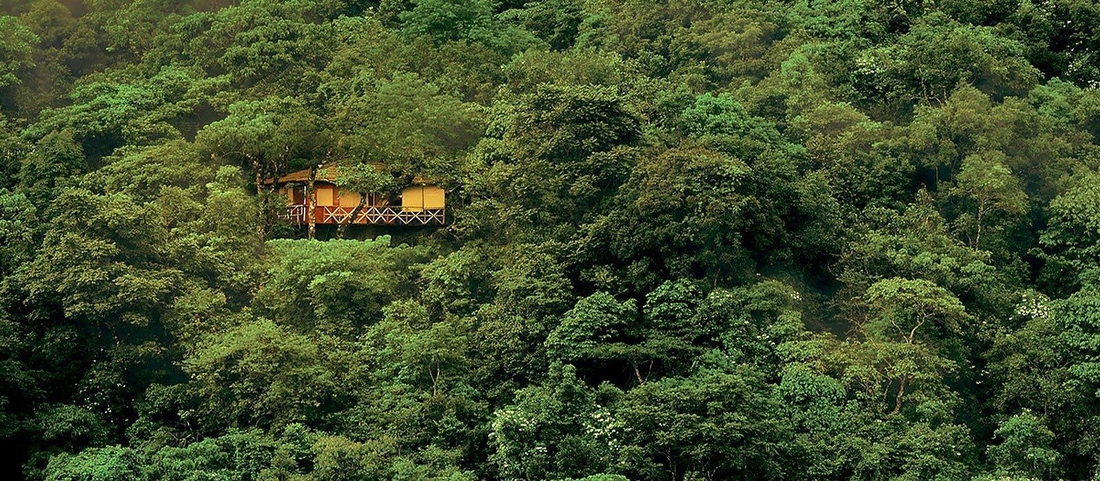 Exclusive Travel Tips for Your Destination Wayanad in South India