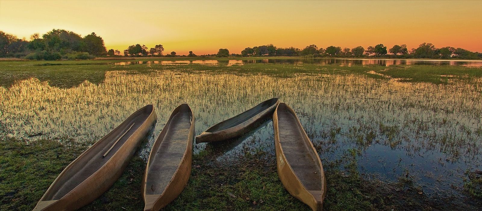 Exclusive Travel Tips for Okavango Delta in Botswana