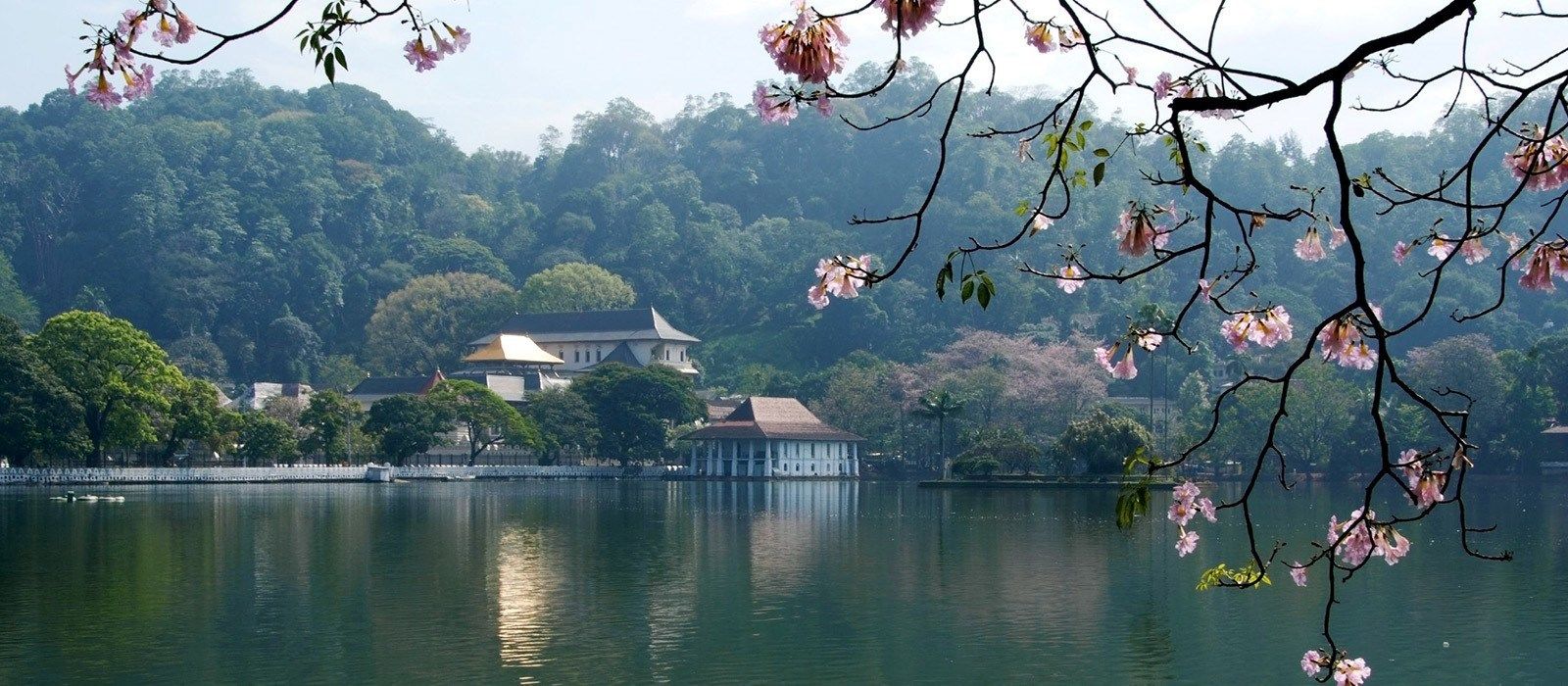 Exclusive Travel Tips for Your Destination Kandy in Sri Lanka