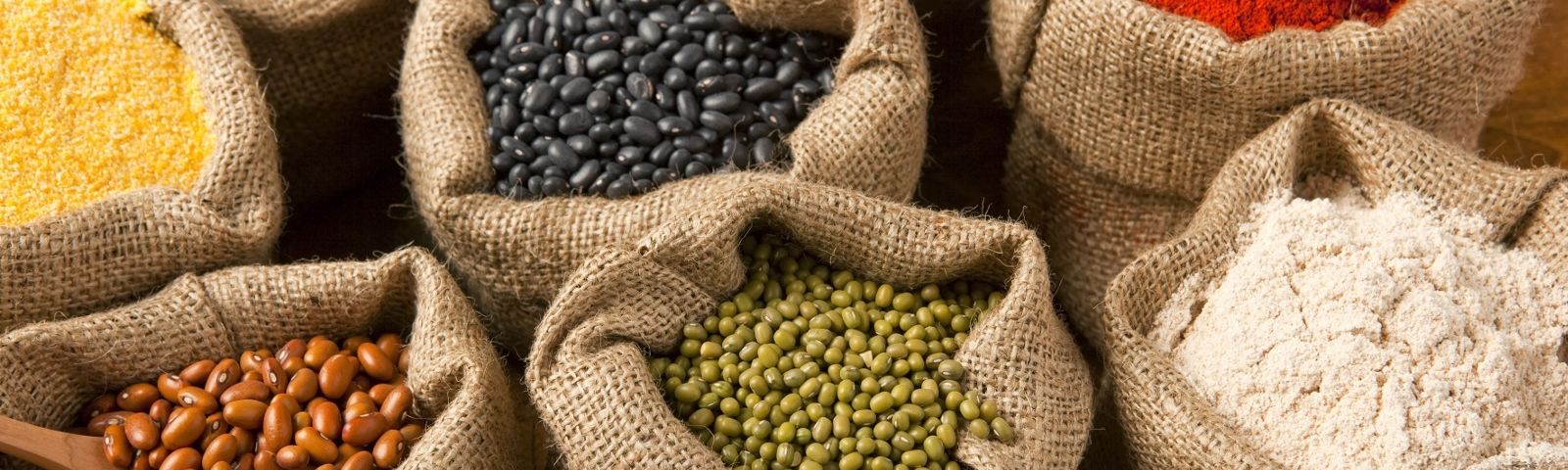 Secret Feast: Five Flavors of India for Foodies