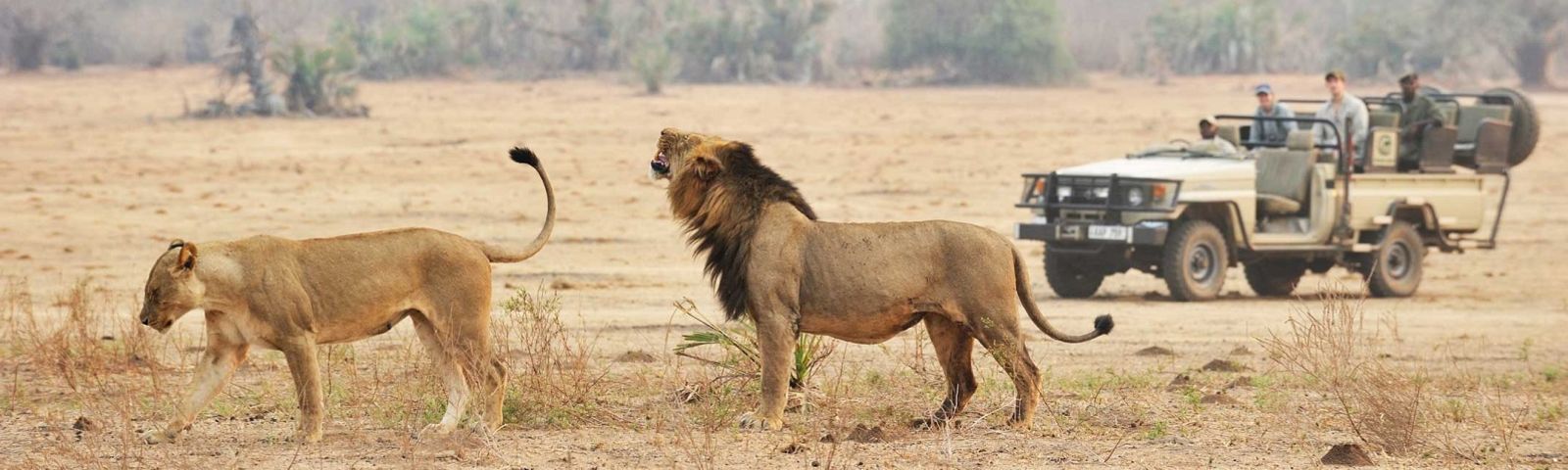 Top five best African Safari Parks you have to see!