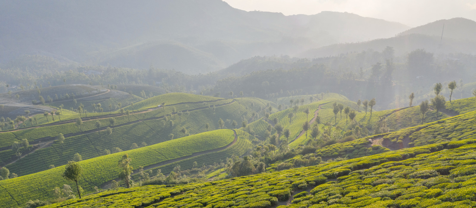 Luxury Tours South India & India Trip | Enchanting Travels