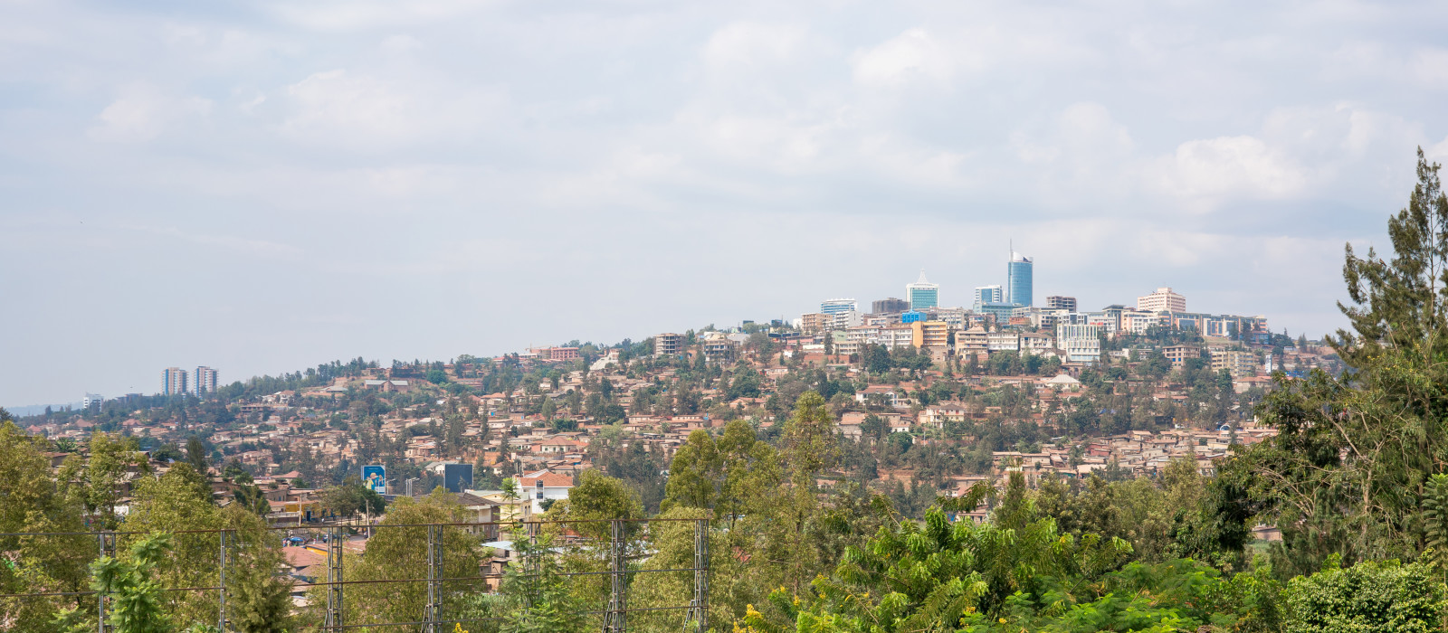 Rwanda Safaris Tours & Gorilla Treks | Enchanting Travels