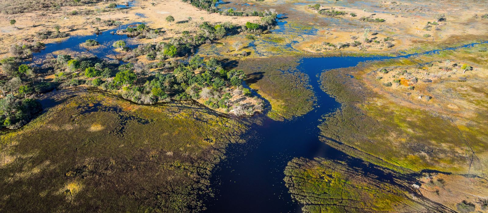 Botswana Safaris | Private Botswana Tours with Enchanting Travels