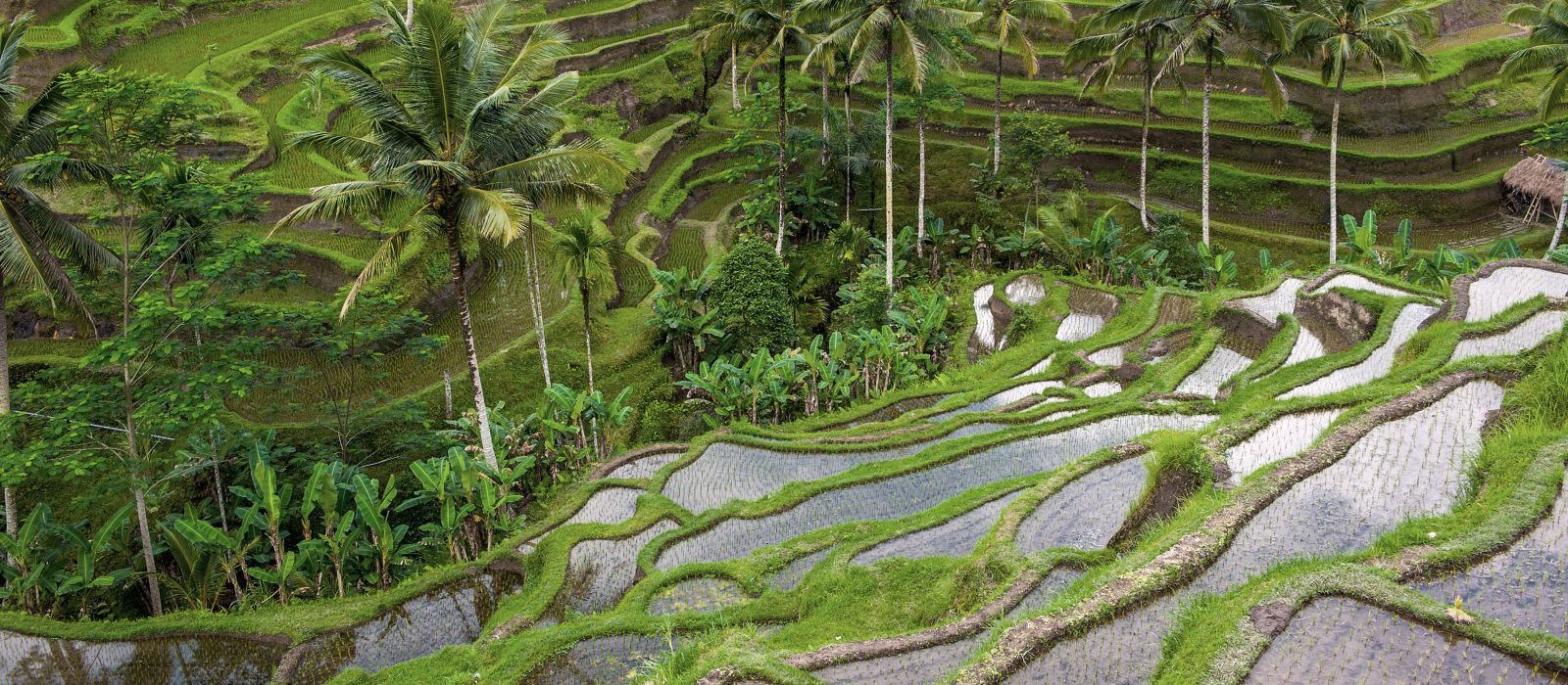 Asia Tour: Luxury & Private Tours to Asia | Enchanting Travels