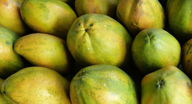 Zimbabwe Travel | Victoria Falls in Zimbabwe with Enchanting Travels