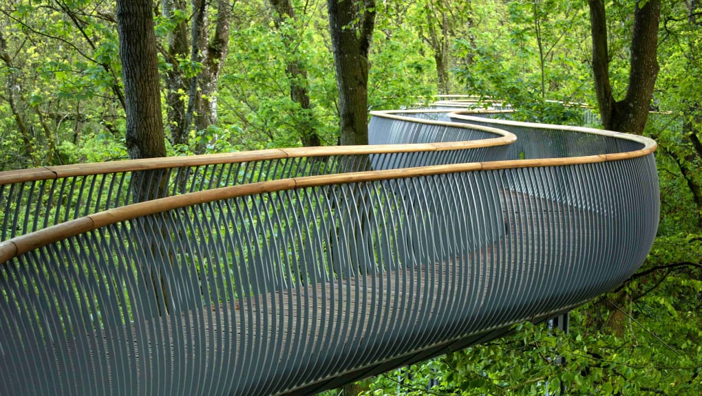 The Viper Elevated Walkway at the Newt in Somerset - The Institution of ...