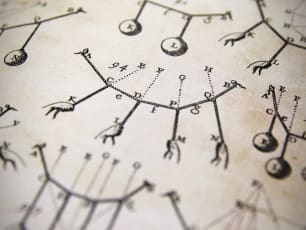 Graphic statics series - Structural design and analysis through ...