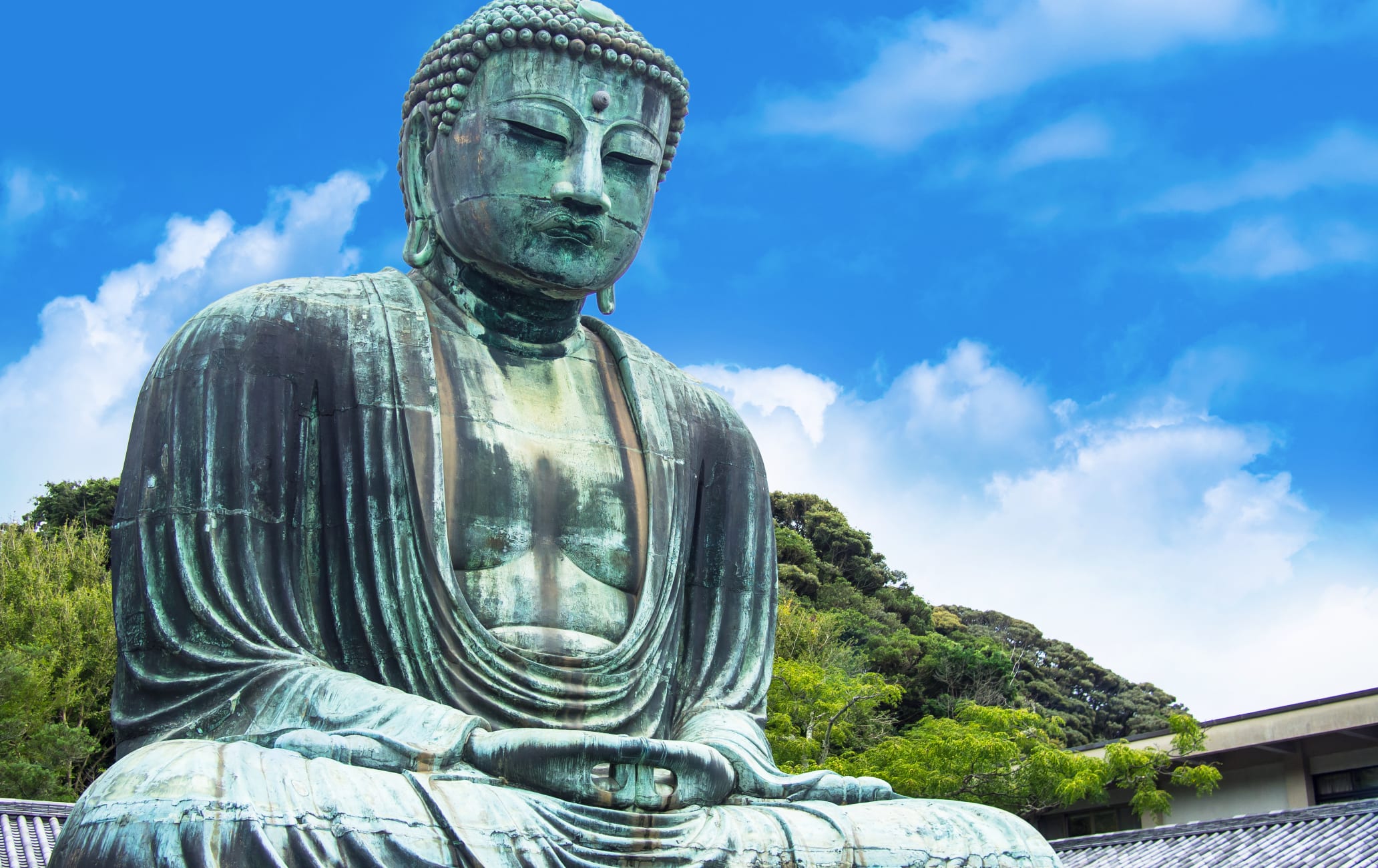 Kamakura Daibutsu (Great Buddha) | Kanagawa Attractions | Travel Japan ...