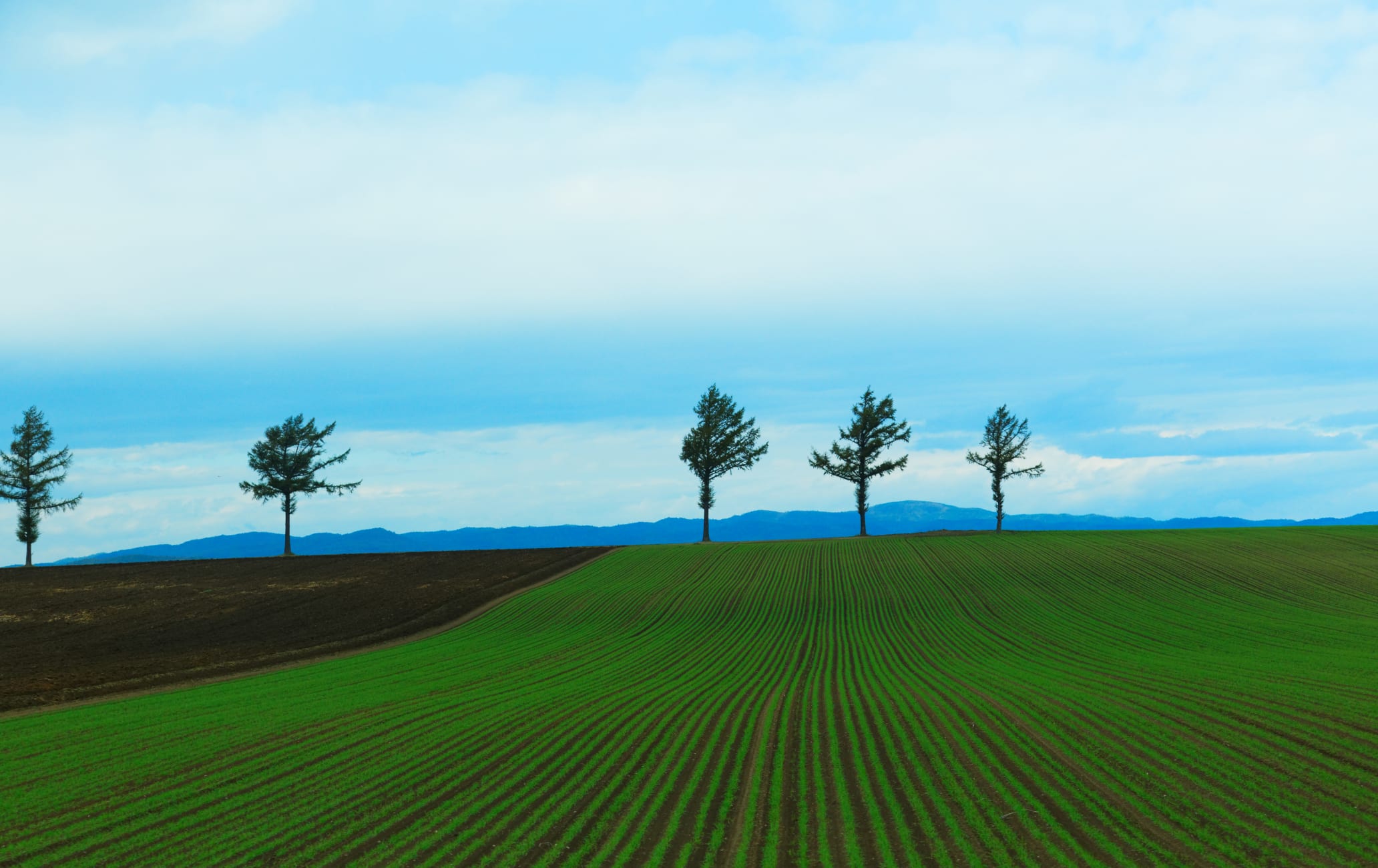 Kitami | Travel Japan (Japan National Tourism Organization)