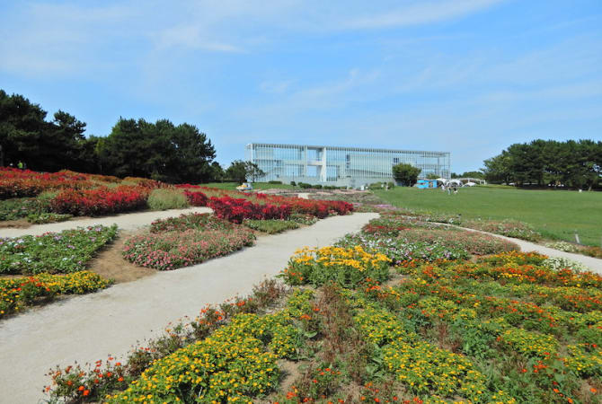 Tokyo Sea Life Park | Tokyo Attractions | Travel Japan | JNTO