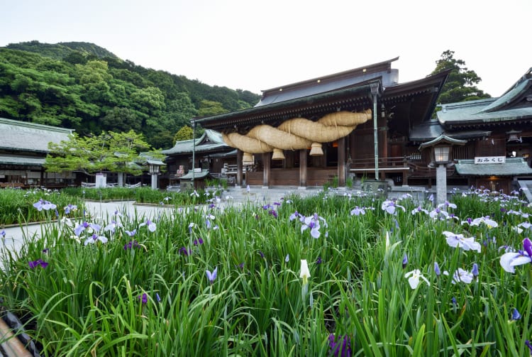 Fukutsu | Travel Japan (Japan National Tourism Organization)