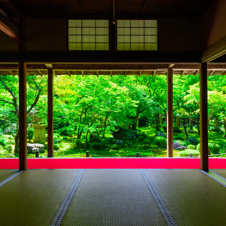 Zen Buddhism and Meditation in Japan | Guide | Travel Japan (Japan ...