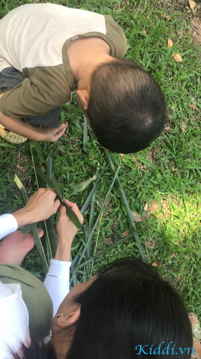 Mầm Non Yêu Con Nít Steiner Inspired - Tân Quy - Quận 7 - Kiddi