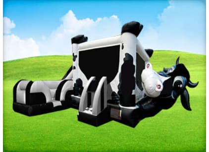 Houston, TX Cow Belly Bouncer Rentals | Sky High Party Rentals
