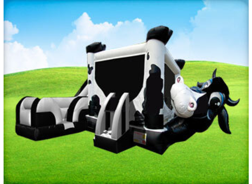 Cow Belly Bounce House Combo Rentals Houston | Sky High Party Rentals